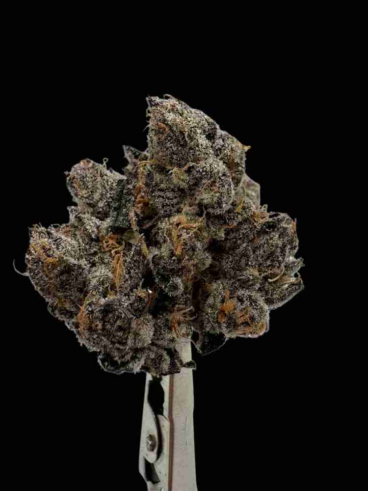 Gas basket (Gary Payton x bakers dozen) - Pacific bud Boys (June batch ...