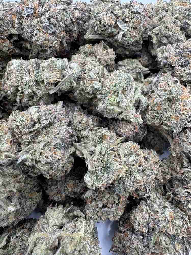 Sour gushers (Gushers x mai tai) - Pacific bud boys - Stash Box