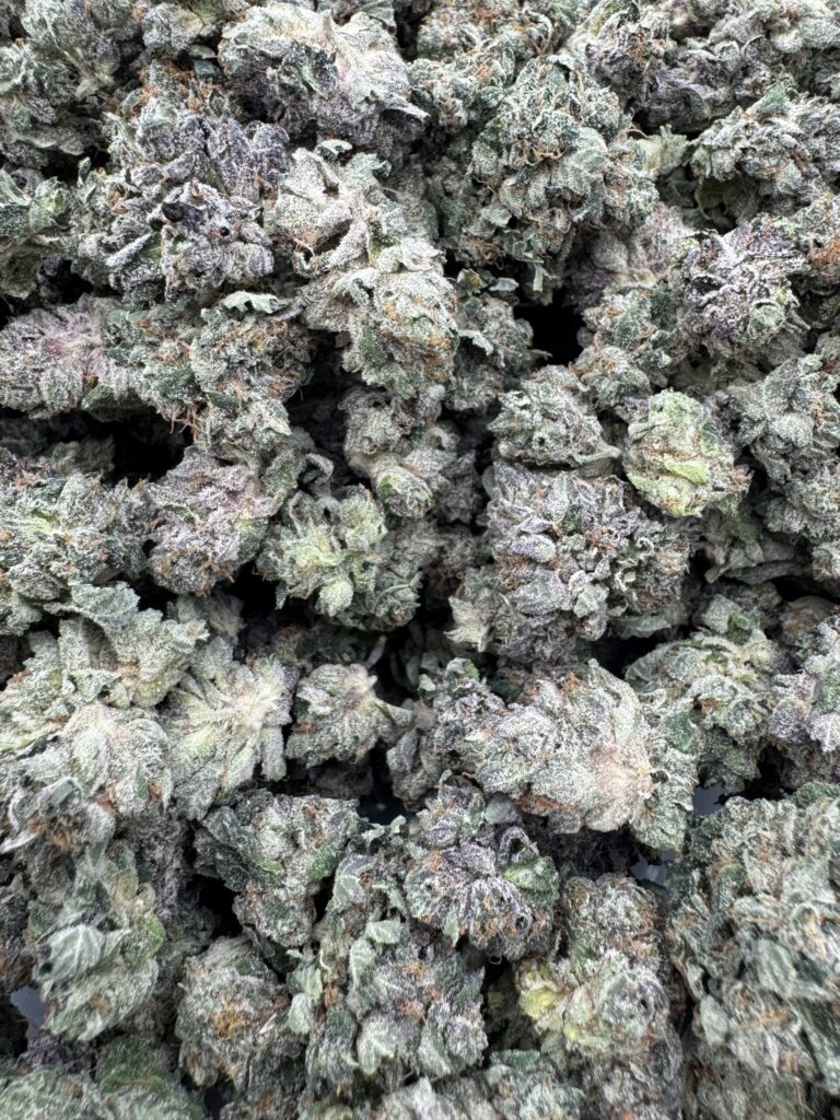 Gas face S/m (Face mints x biscotti x sherb) - Bbcf - Stash Box